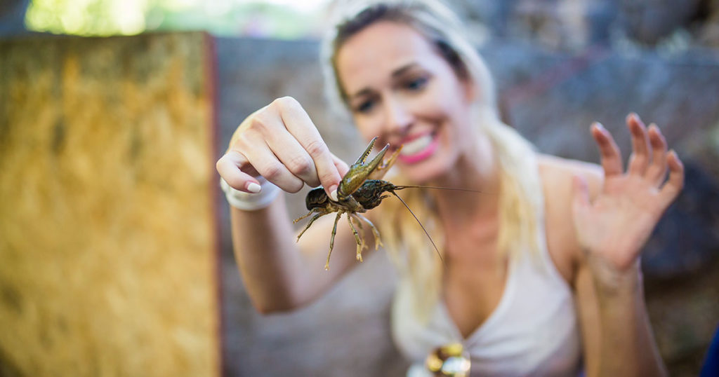 Veyo Pool & Crawdad Canyon in Veyo Utah