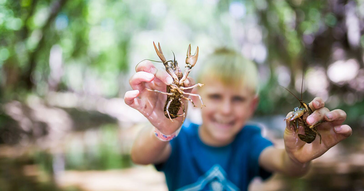 Crawdad Catching in Veyo | Crawdad Canyon