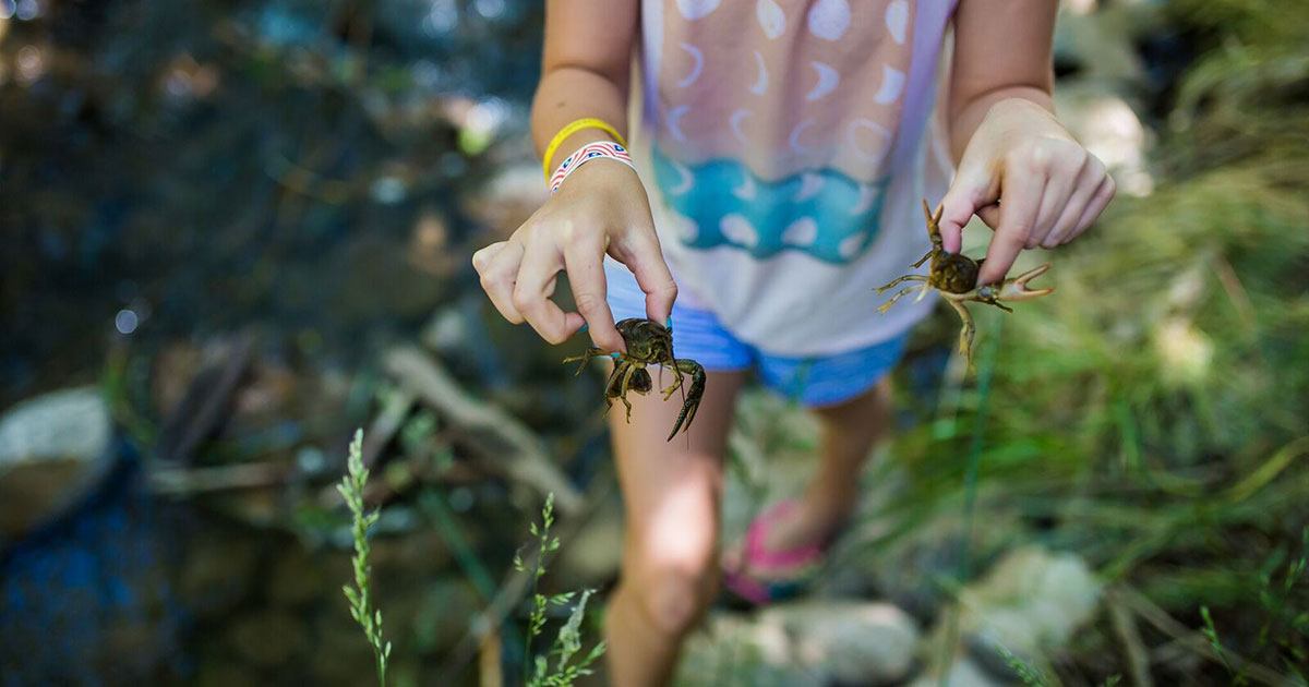 Crawdad Catching in Veyo | Crawdad Canyon